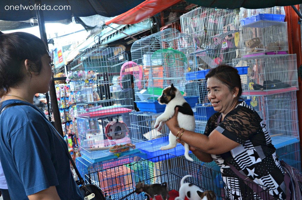 Chatuchak weekend market di Bangkok: come arrivare e poi tornare a casa ...
